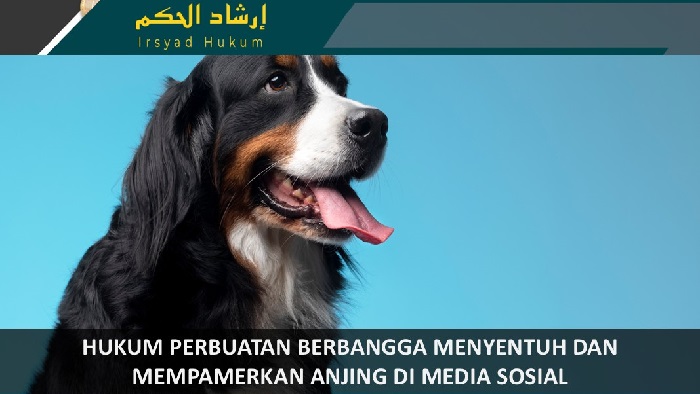 Hukum bangga sentuh, pamer anjing di media sosial